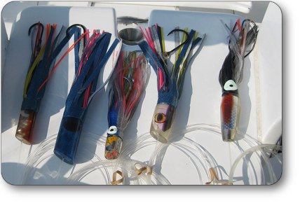 Boat & Tackle - High Noon Sportfishing